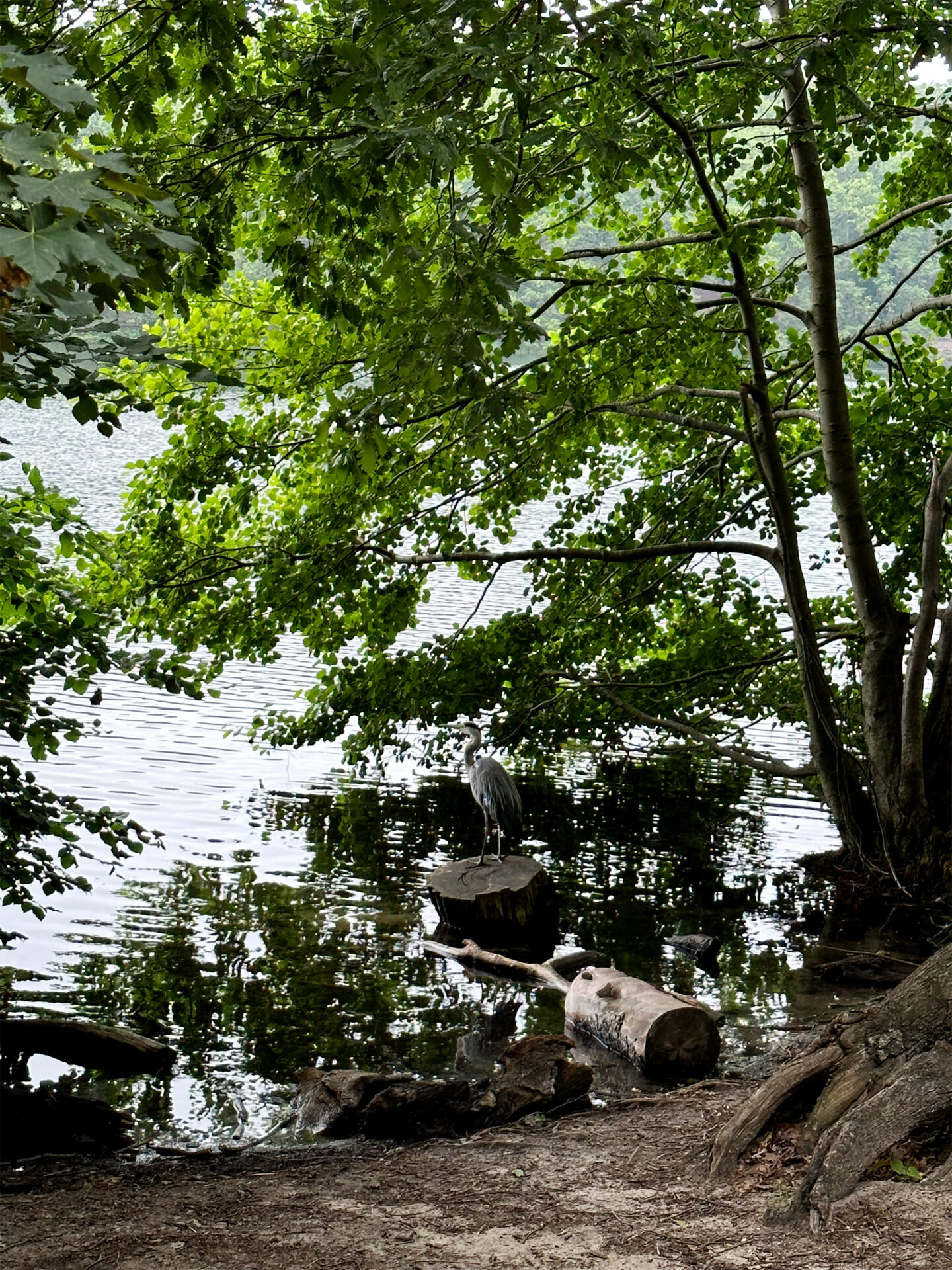 »Gerade in den institutionellen Dingen kämpft man immer noch viel zu ...